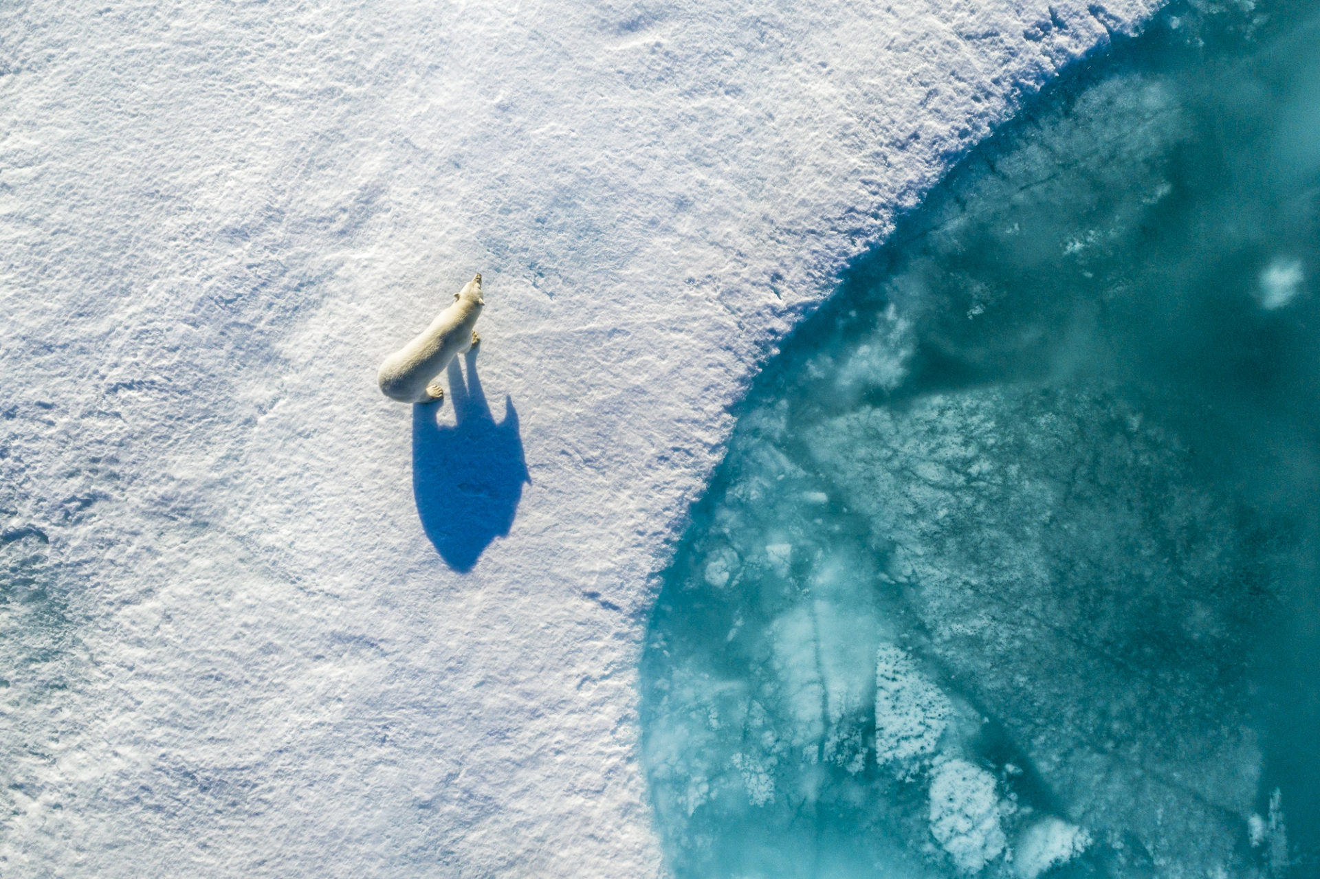 “Documentary photographer Florian Ledoux on passion, perseverance, and ...