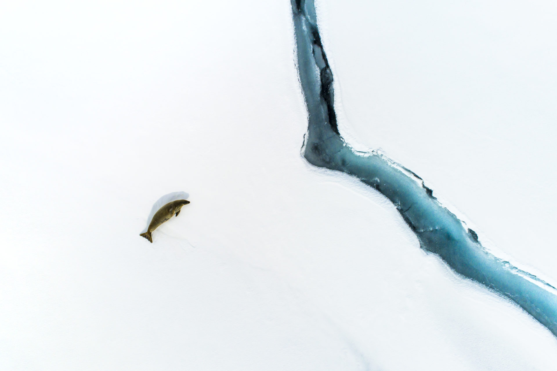 “Documentary photographer Florian Ledoux on passion, perseverance, and ...