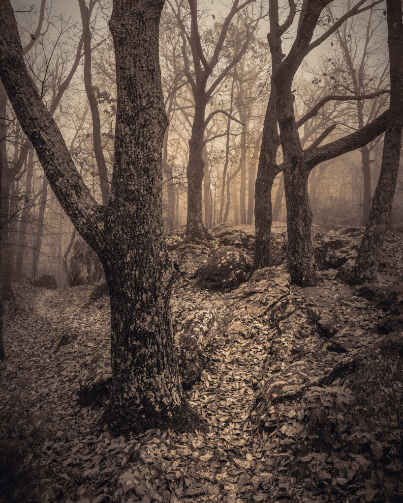 “Untitled” by Philip Flowers | FRAMES