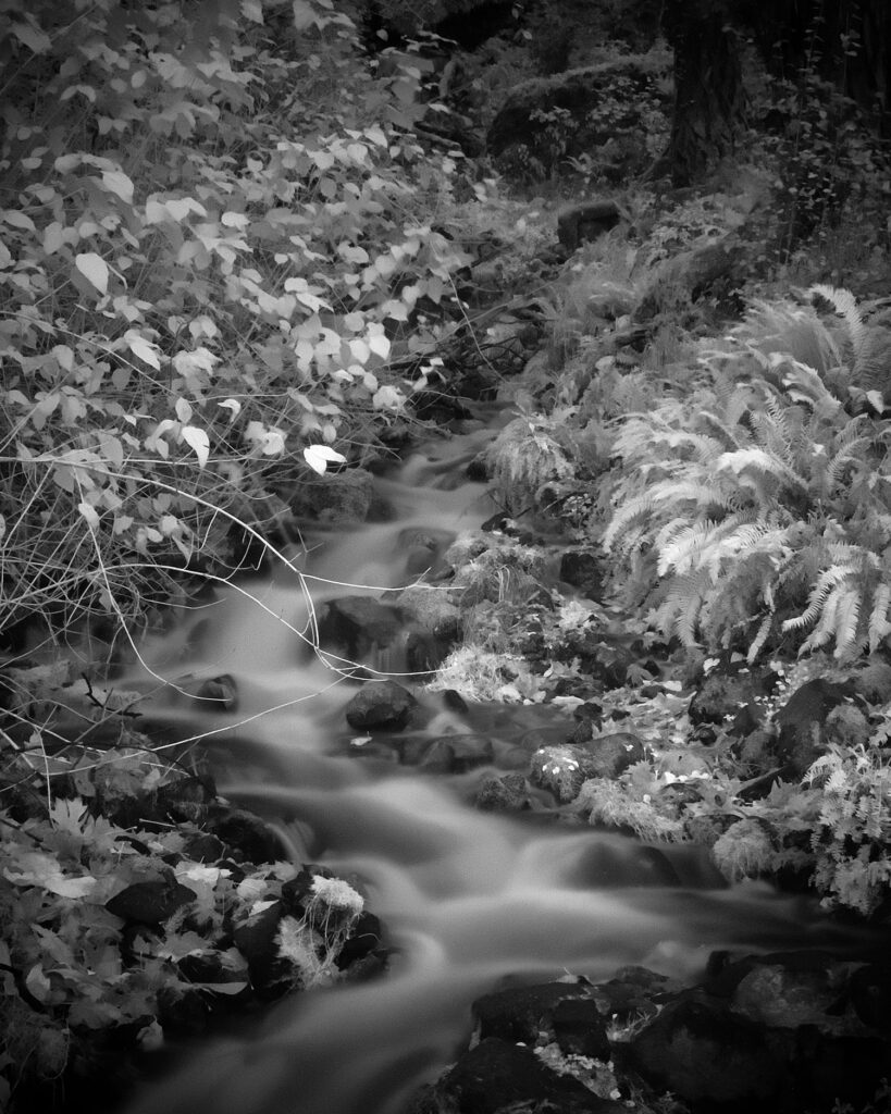 THE TALKING EYE: Gary Litwin, Infrared Landscape Photographer ...