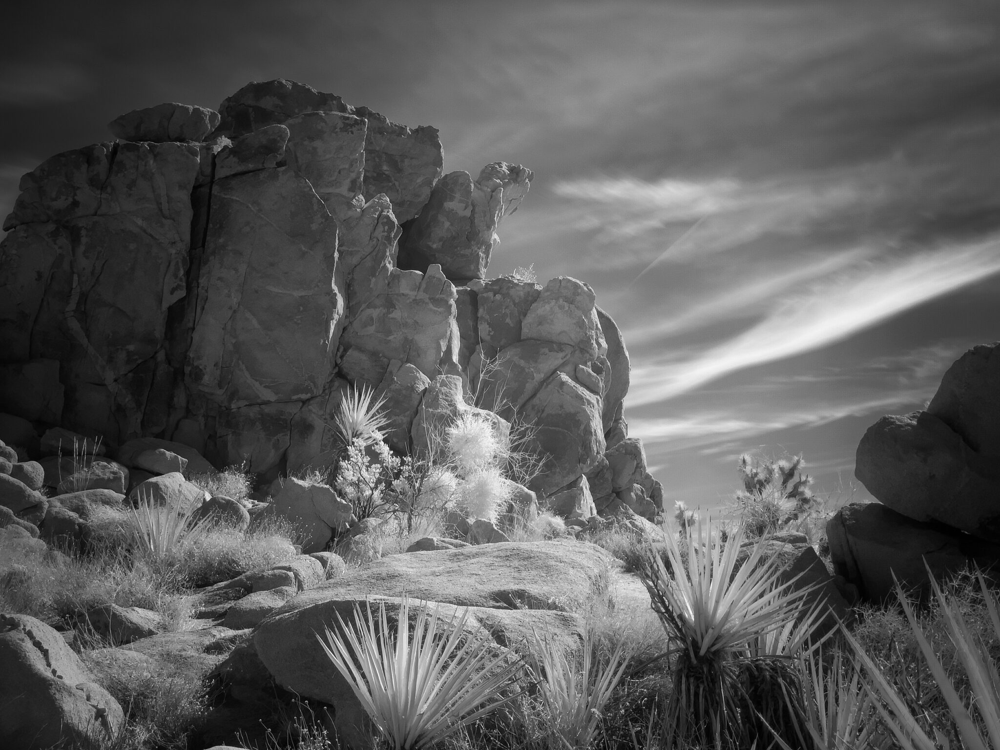 THE TALKING EYE: Gary Litwin, Infrared Landscape Photographer ...