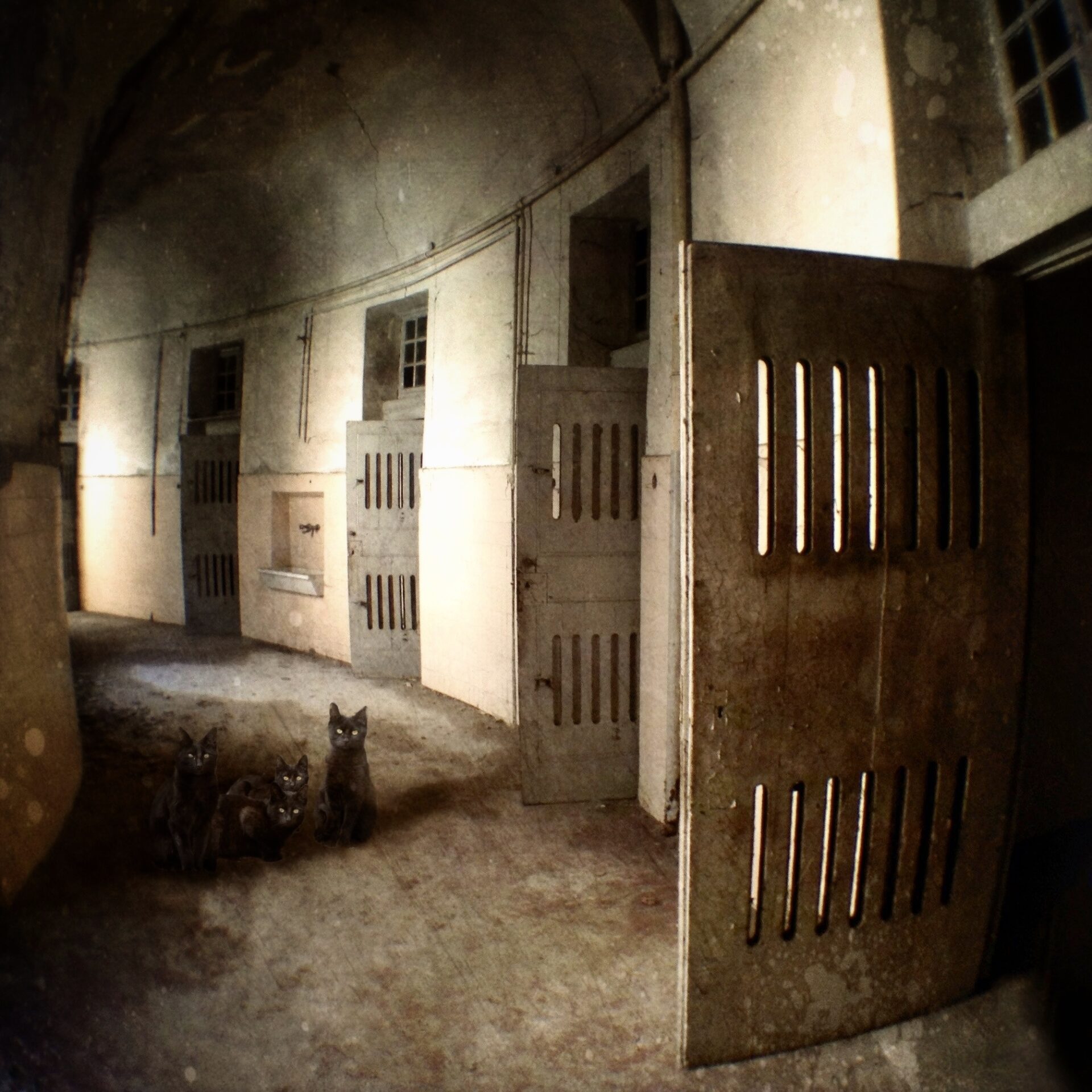 THE TALKING EYE: Federica Corbelli and the Art of Urban Decay ...