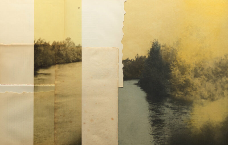 THE FEMALE GAZE: Molly McCall: Sense Memories, by Diana Nicholette Jeon ...