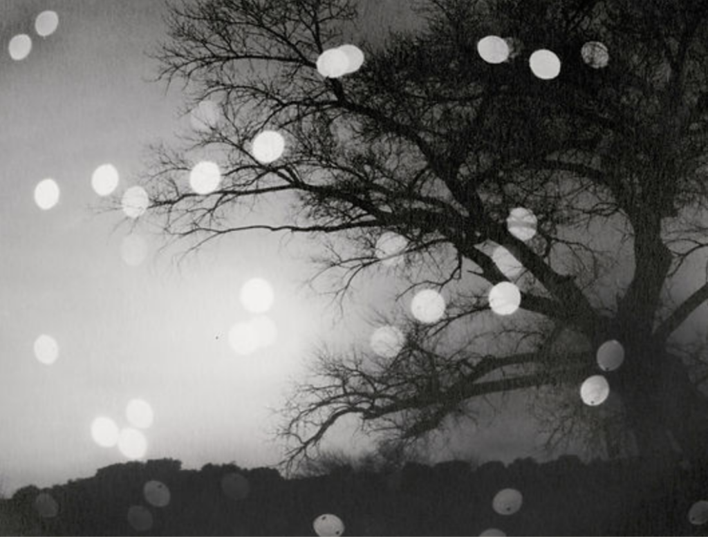 THE FEMALE GAZE: Jennifer Schlesinger: Doing It All!, by Diana ...