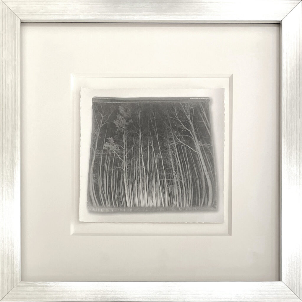 THE FEMALE GAZE: Jennifer Schlesinger: Doing It All!, by Diana ...