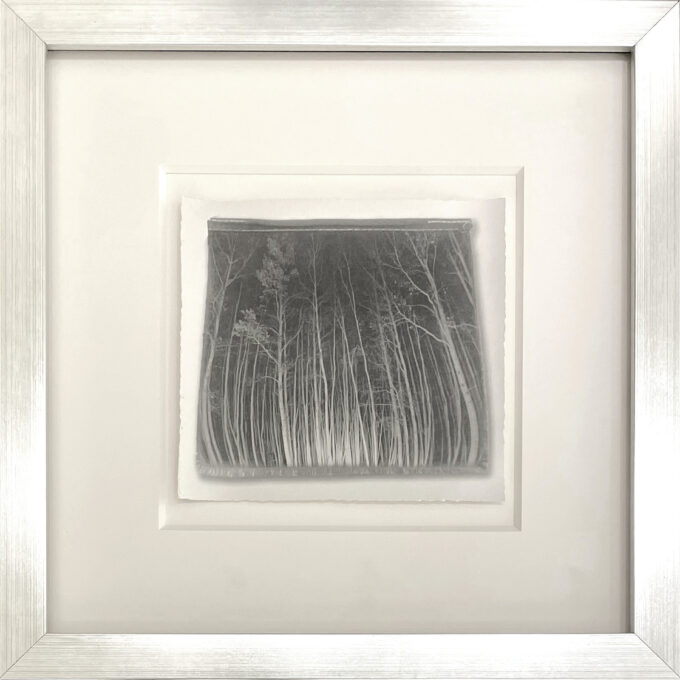 THE FEMALE GAZE: Jennifer Schlesinger: Doing It All!, by Diana ...