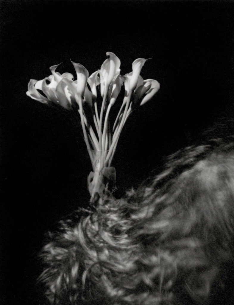 THE FEMALE GAZE: Jennifer Schlesinger: Doing It All!, by Diana ...