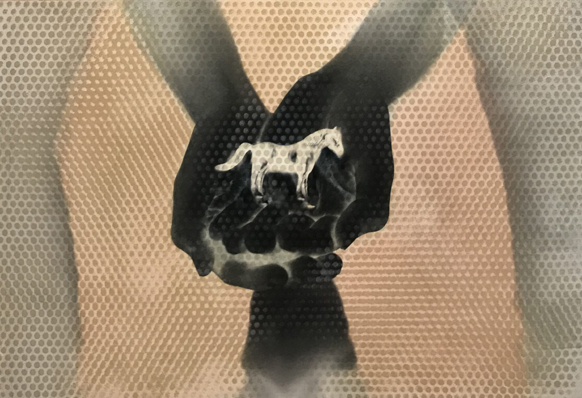 THE FEMALE GAZE: Molly McCall: Sense Memories, by Diana Nicholette Jeon ...