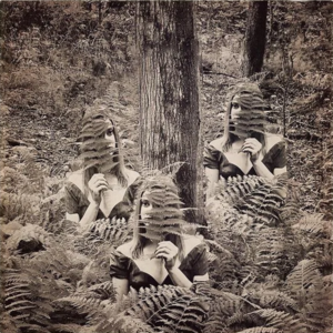 THE TALKING EYE: Robin Robertis, a Photographer “with a Penchant for ...