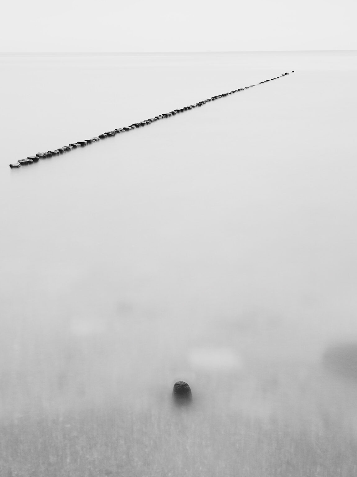 THE TALKING EYE: Patryk Kuleta, Intentional Camera Movement (ICM) and ...
