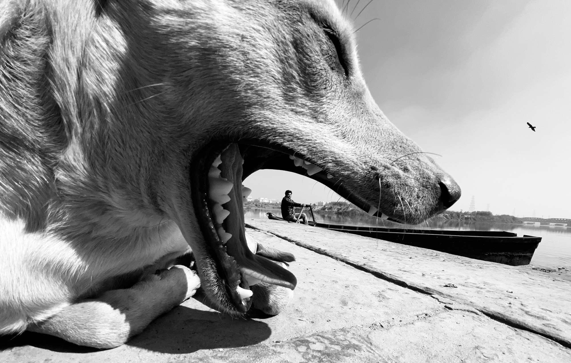 THE TALKING EYE: Dimpy Bhalotia - Capturing a World in Motion in High ...