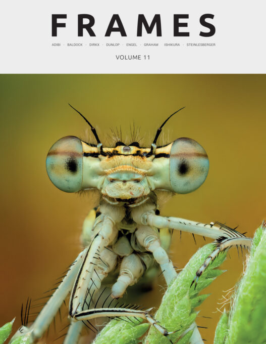 Quarterly Printed Photography Magazine | FRAMES Magazine