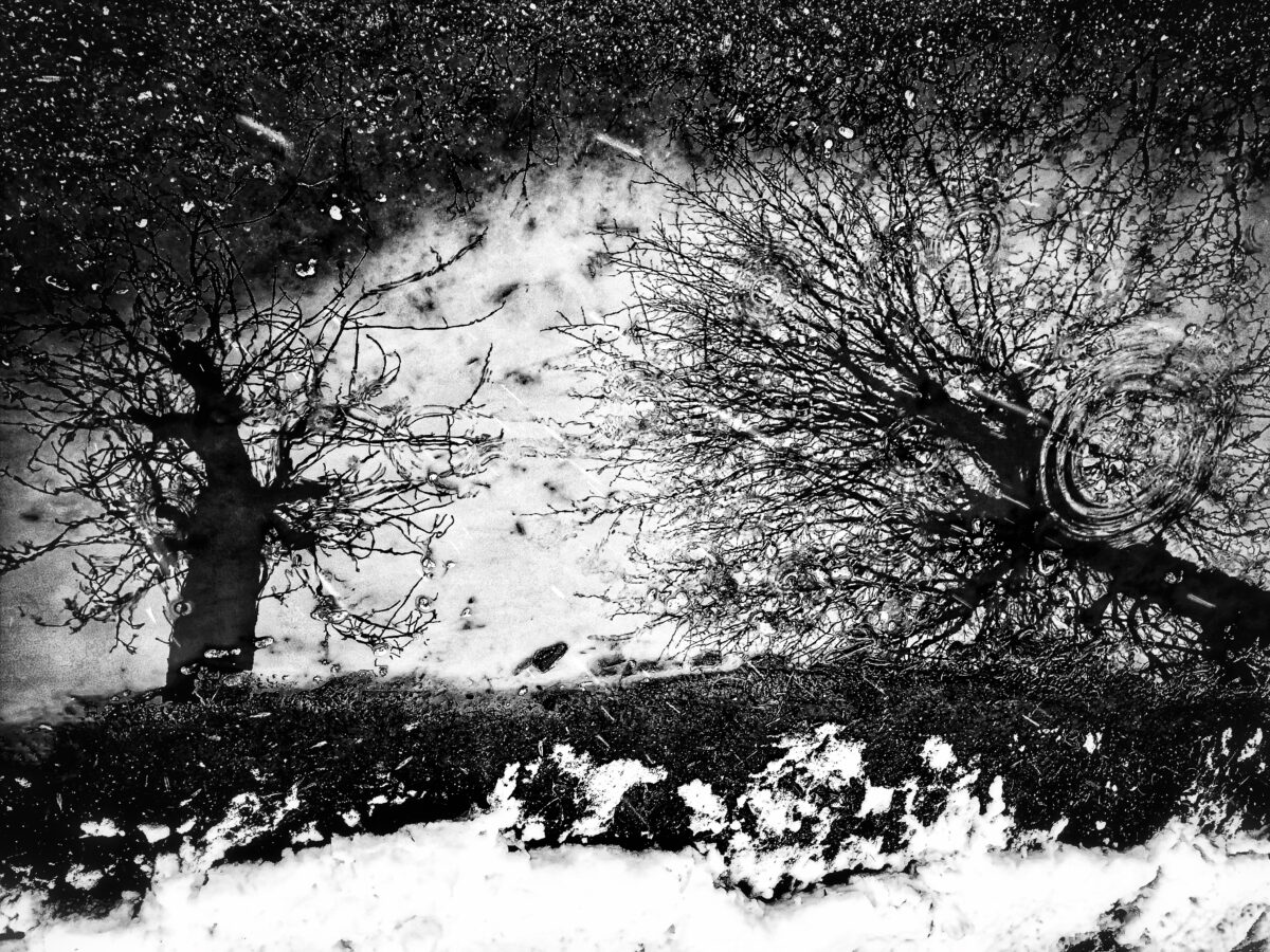 THE TALKING EYE: Sergei Chukin - A “Tarkovsky of the Still Frame ...