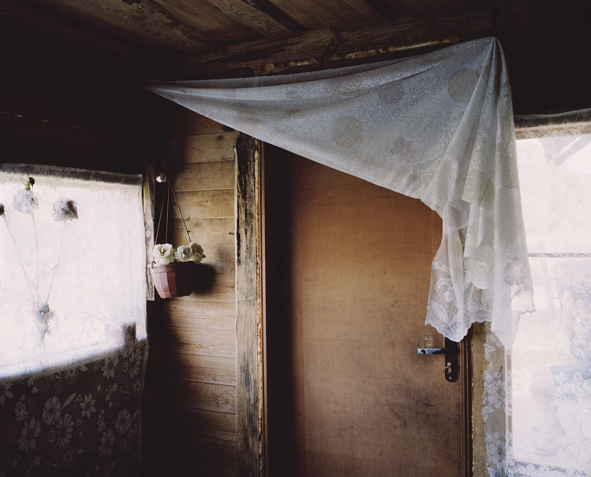 A Beautiful, Hopeful Regret - Review of “Gandras: Land of the White ...