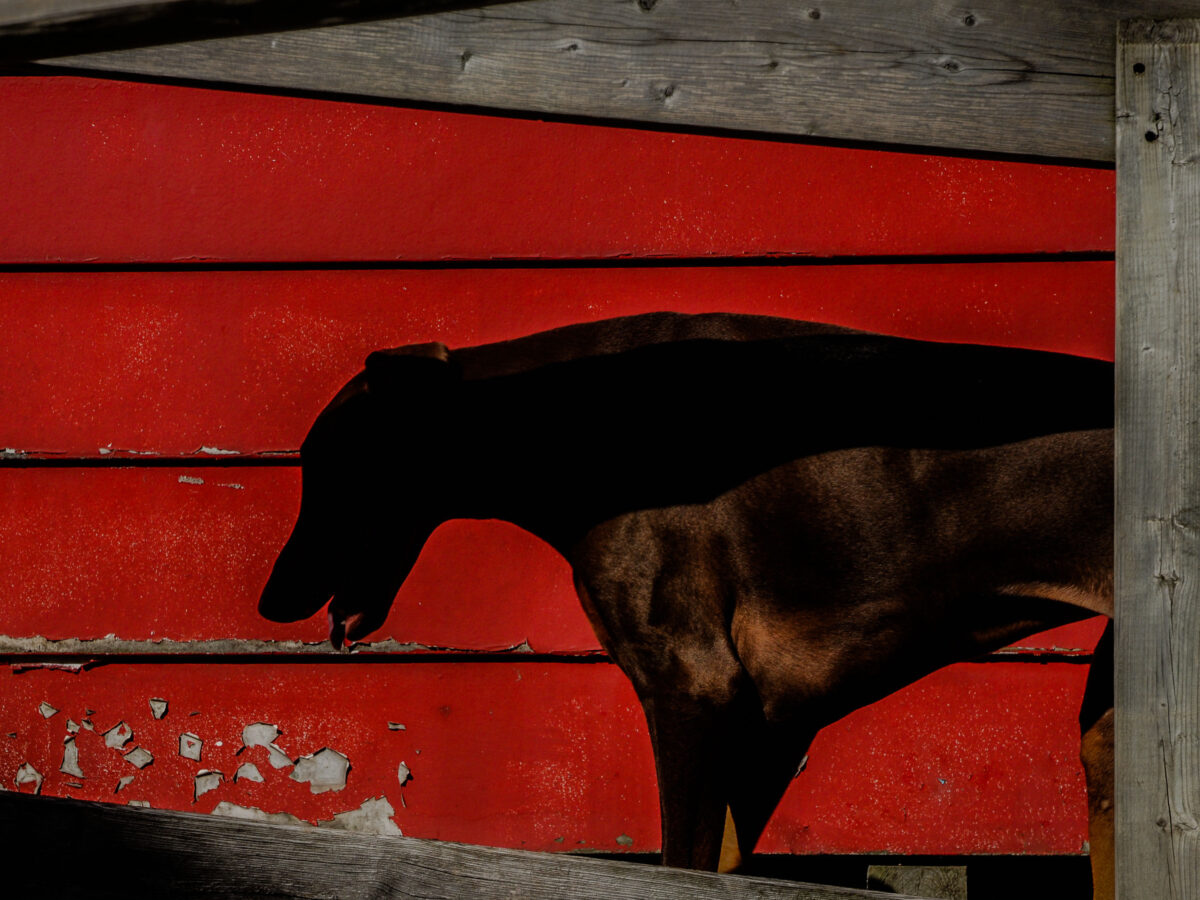 FRAMES Magazine | Because Excellent Photography Belongs On Paper