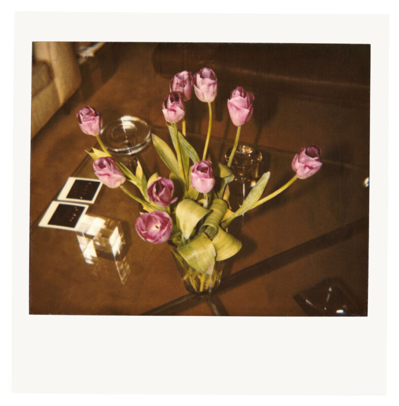 The Person you Know and Don’t - Review of “Ralph Ellison: Photographer ...