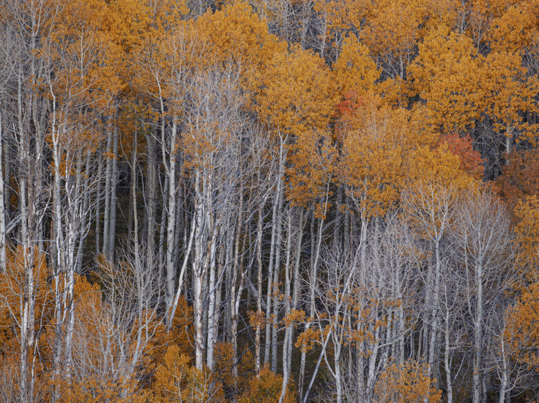 “Yearning” by Giles Hugo | FRAMES Magazine