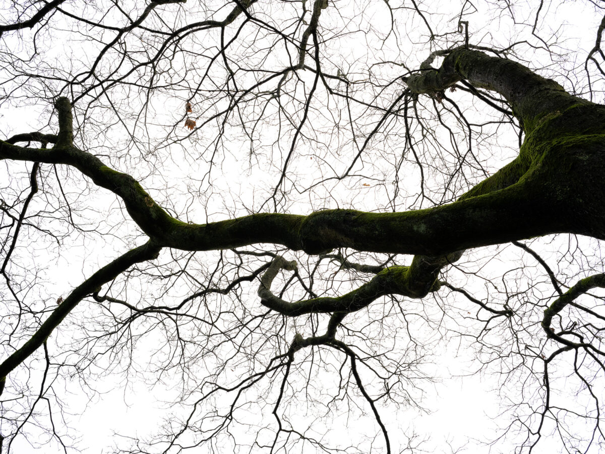 FRAMES Magazine | Because Excellent Photography Belongs On Paper