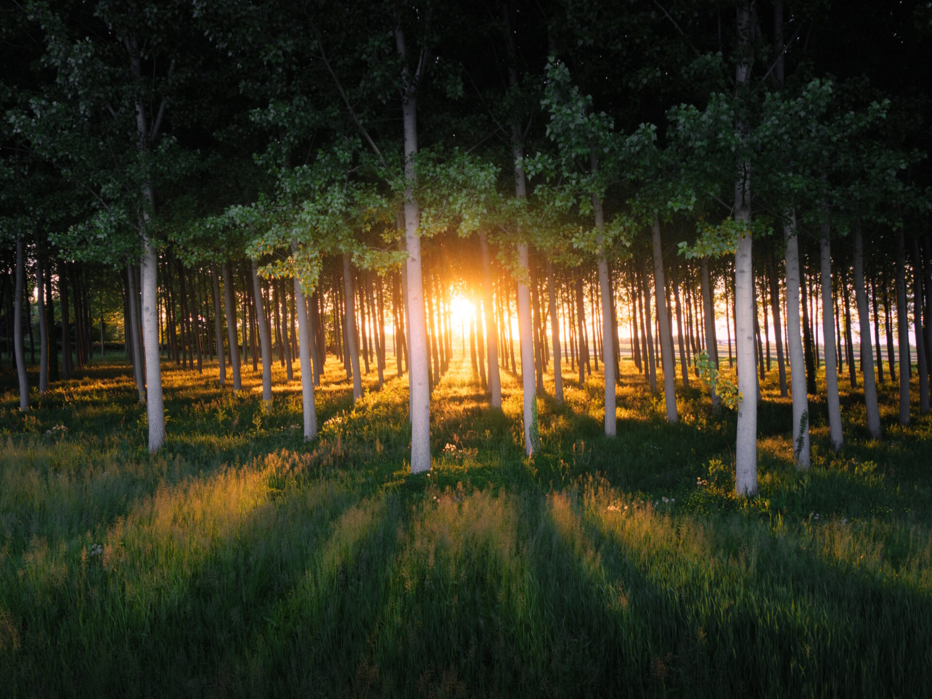 FRAMES Magazine | Because Excellent Photography Belongs On Paper