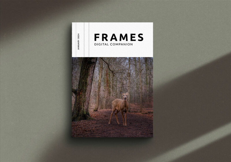 FRAMES Digital Companion - January 2024 | FRAMES