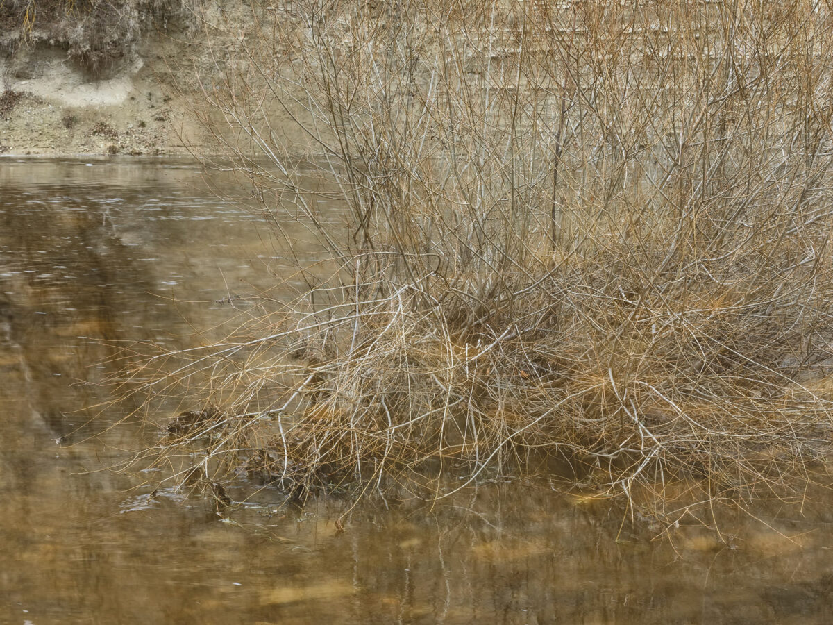 FRAMES Magazine | Because Excellent Photography Belongs On Paper