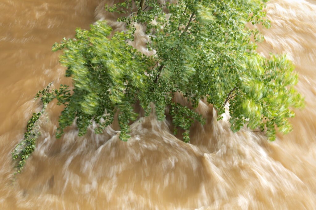 Cours Entier - Review of “Riverscape” by Kristel Schneider | FRAMES
