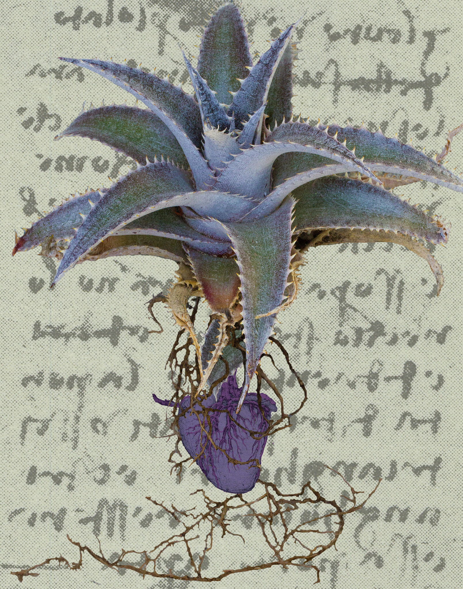 THE FEMALE GAZE: “Sandra Klein: Seeing in Layers of Metaphor”, by Diana ...