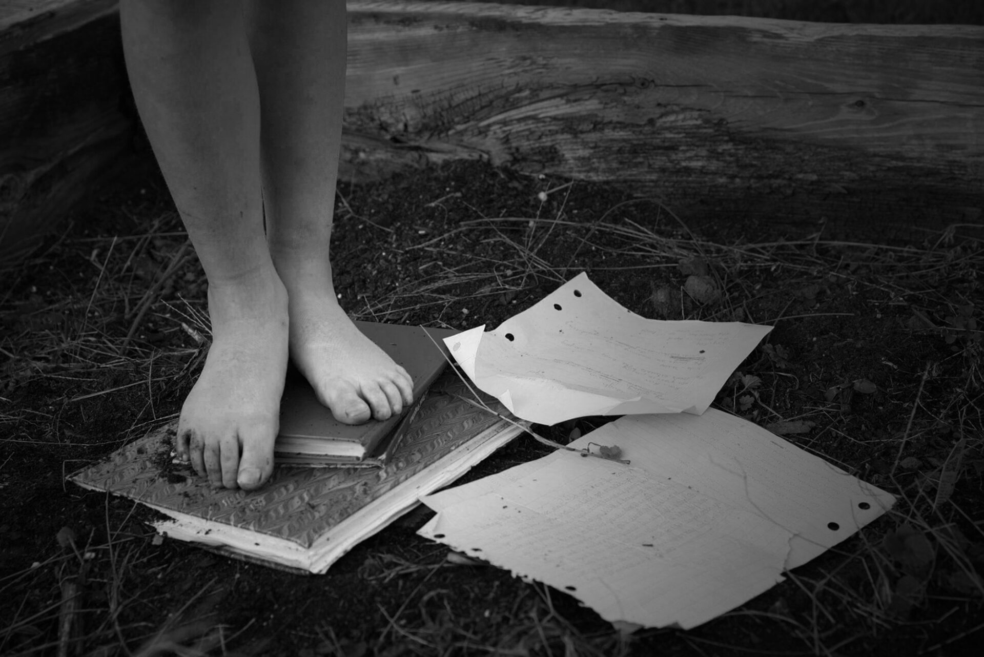 THE FEMALE GAZE: “Rebecca Moseman: Seeing into the Soul of her Subjects ...