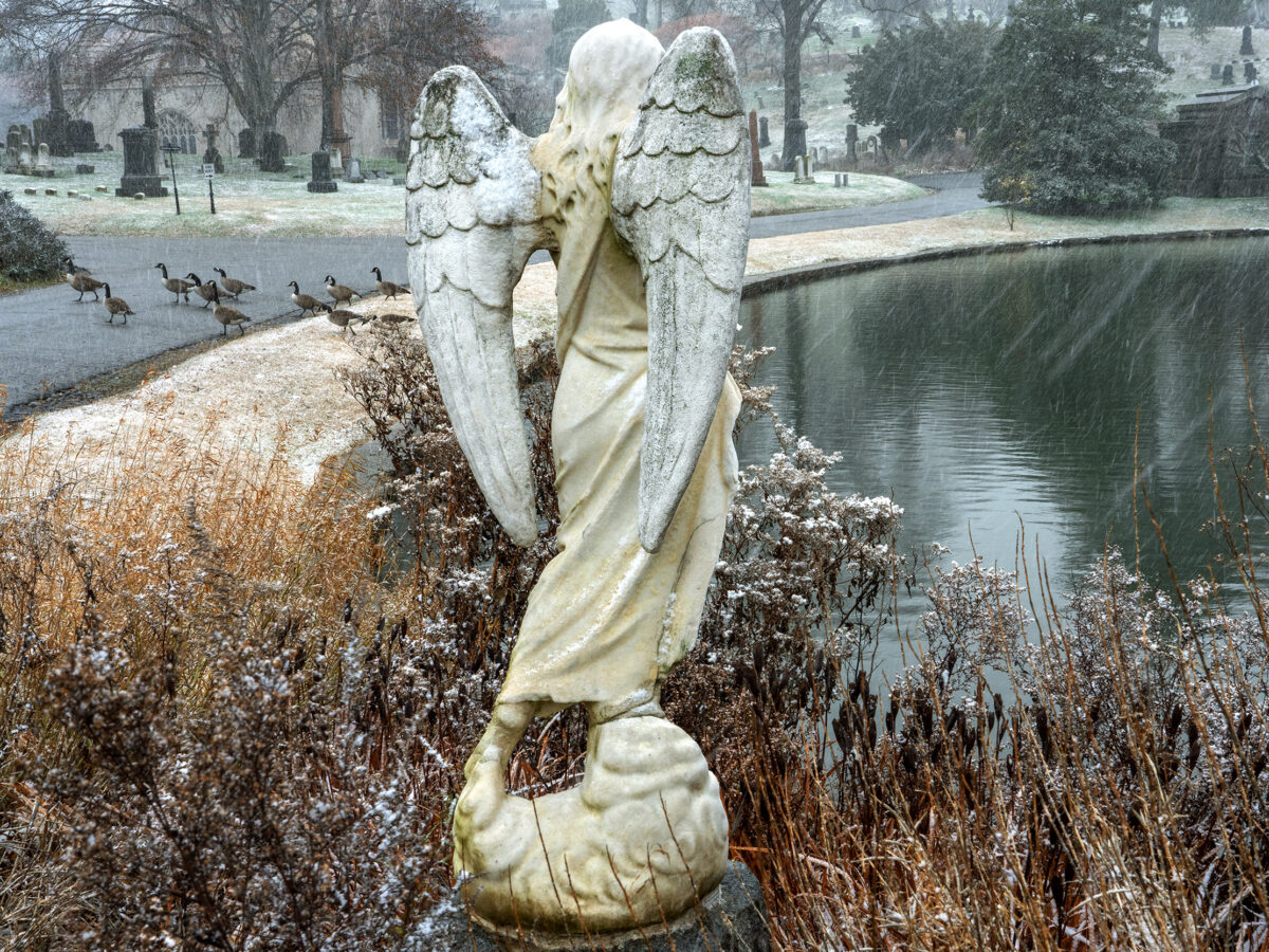 FRAMES | An International Photography Circle