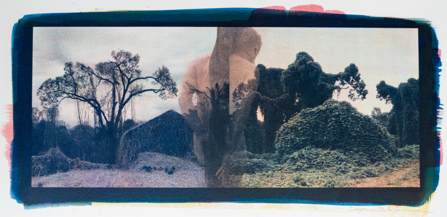 THE FEMALE GAZE: “#GirlGaze: The Handmade Tale” by Diana Nicholette ...